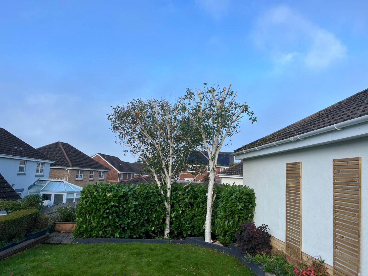 Hedge Trimming Bridgend - F J Tree and landscapes 🌳